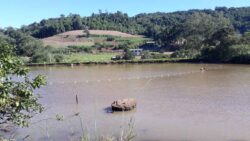 ROMELÂNDIA - Santa Catarina Turismo